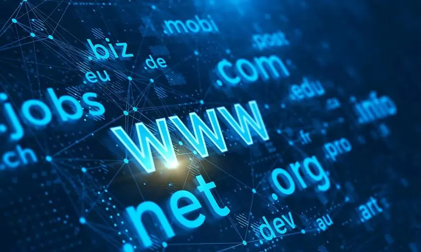 Tot ce trebuie să știi despre un domeniu web: definiție, tipuri și ...